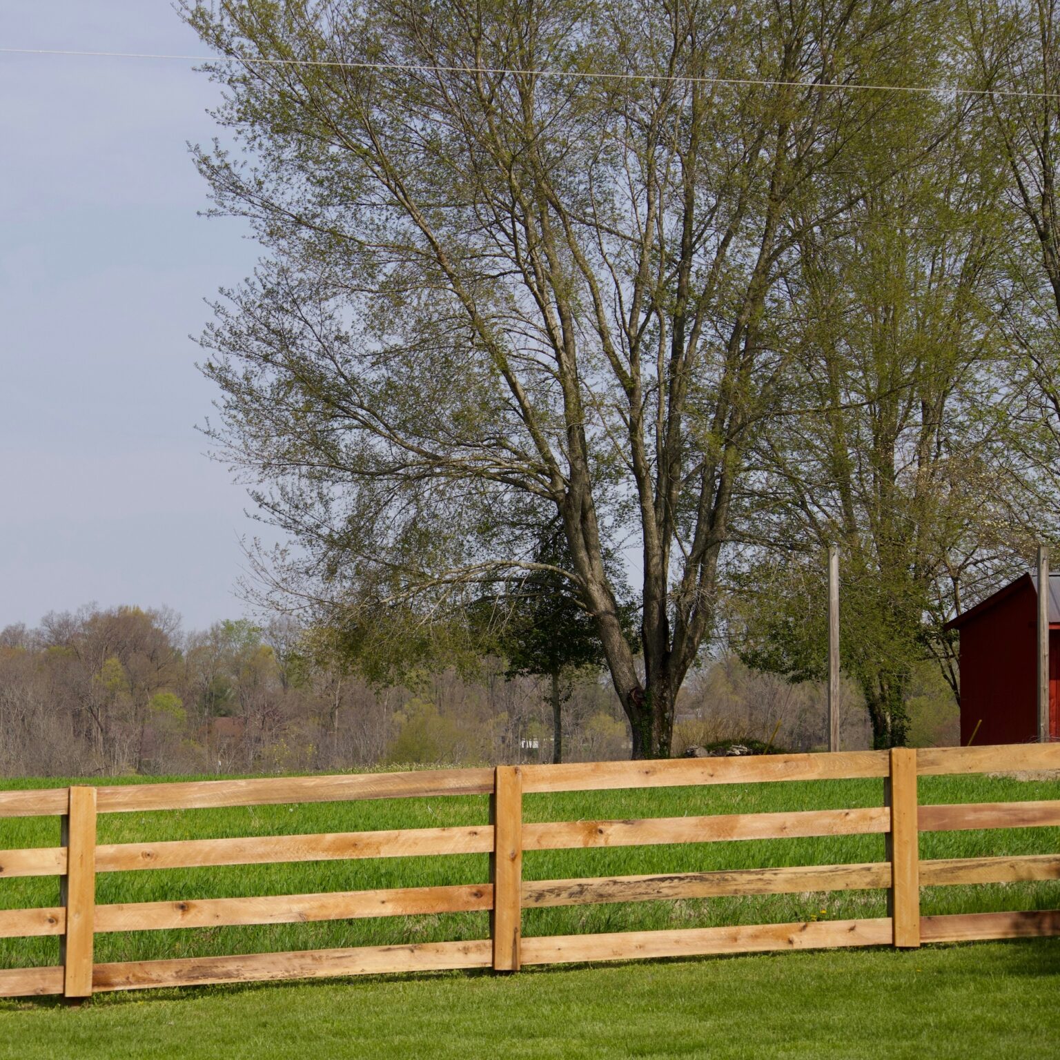 Mortgages – Amber Financial